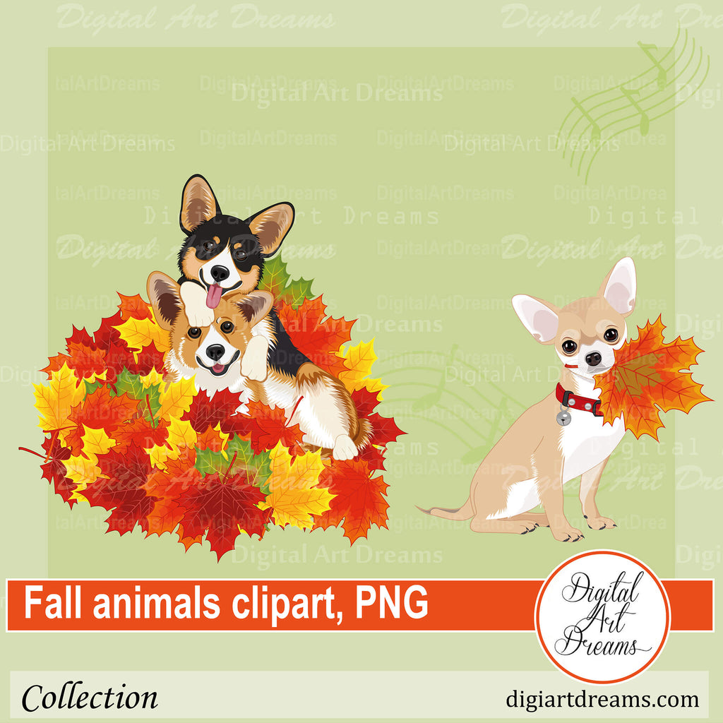 Autumn Animal Clipart | Fall PNG Images | Digital Art Dreams